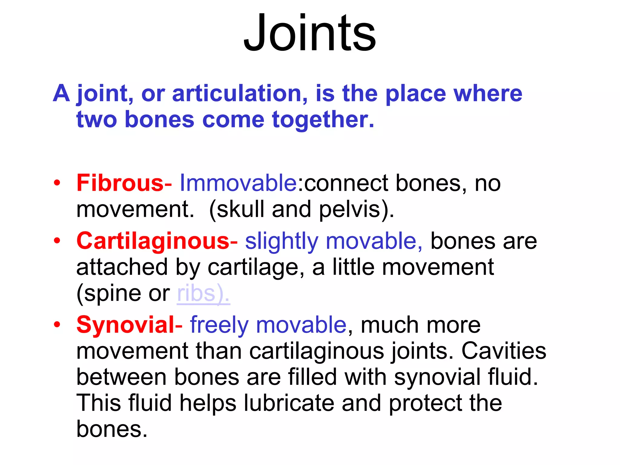 Skeletal system P. B. Jadhav | PPT