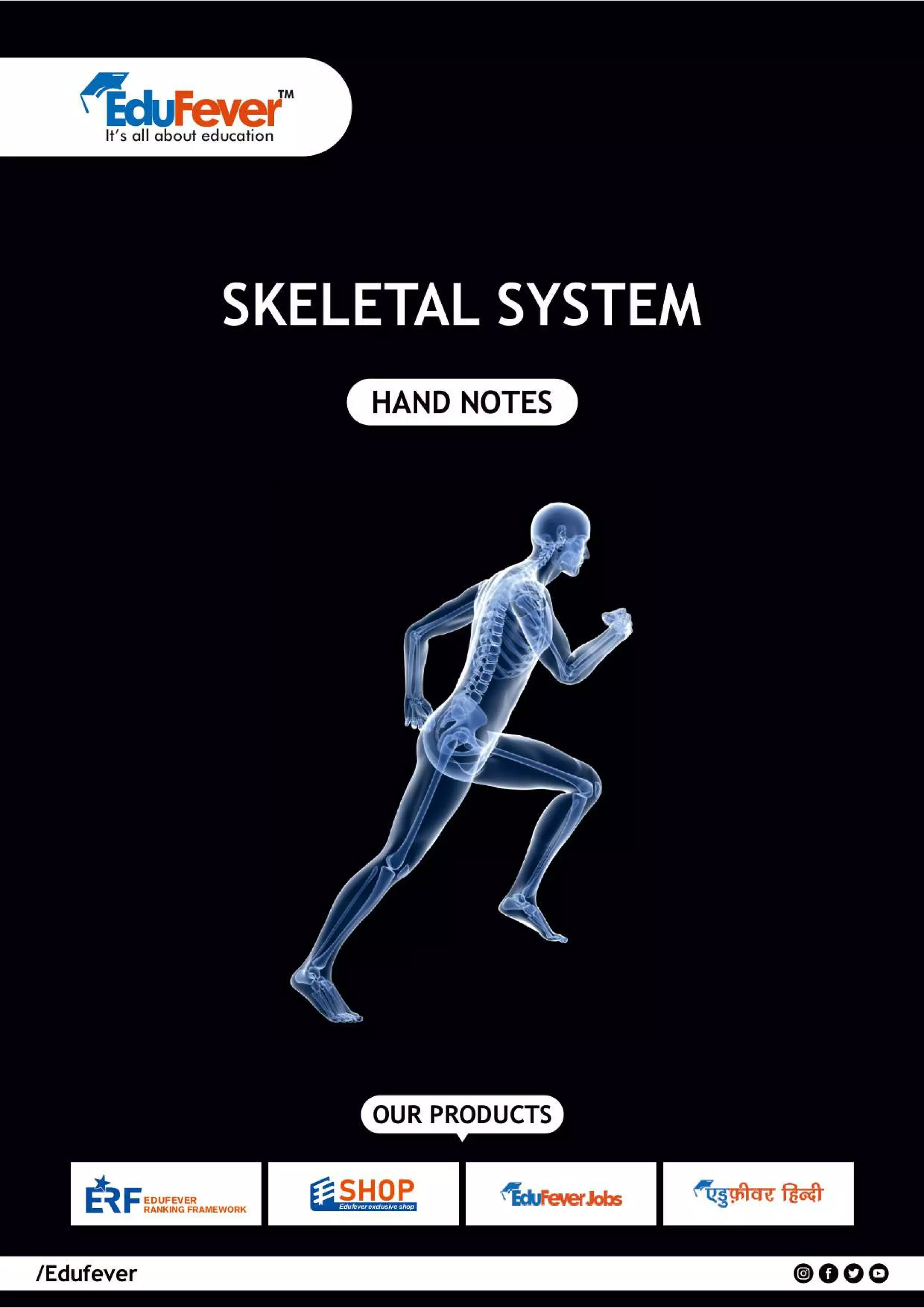 Skeletal system - Biology Handwritten Notes | PDF
