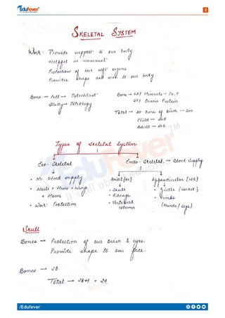 Skeletal system - Biology Handwritten Notes | PDF