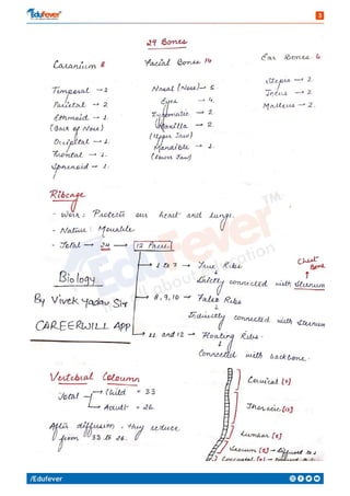 Skeletal system - Biology Handwritten Notes | PDF