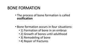 Skeletal system part 1 | PPTX