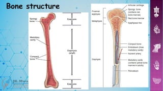 Skeletal System Part 1.Anatomy and physiology .pptx