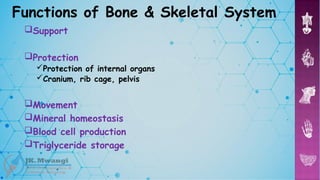 Skeletal System Part 1.Anatomy and physiology .pptx