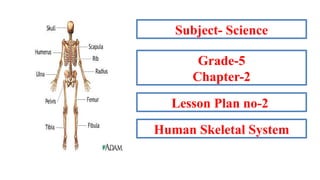 Skeletal system part power point present | PPTX