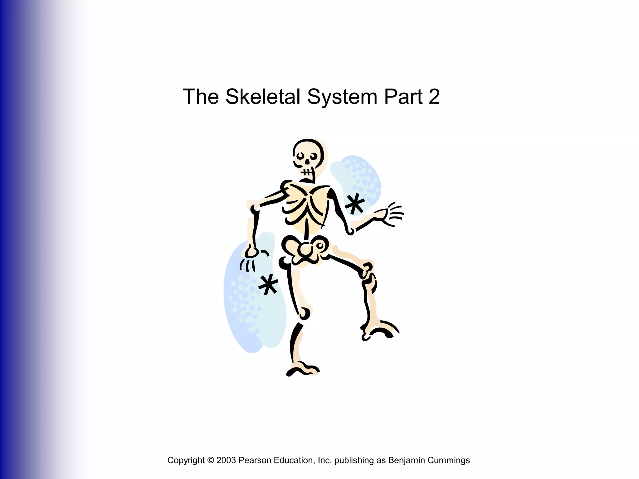Skeletal system part 3 class | PPTX
