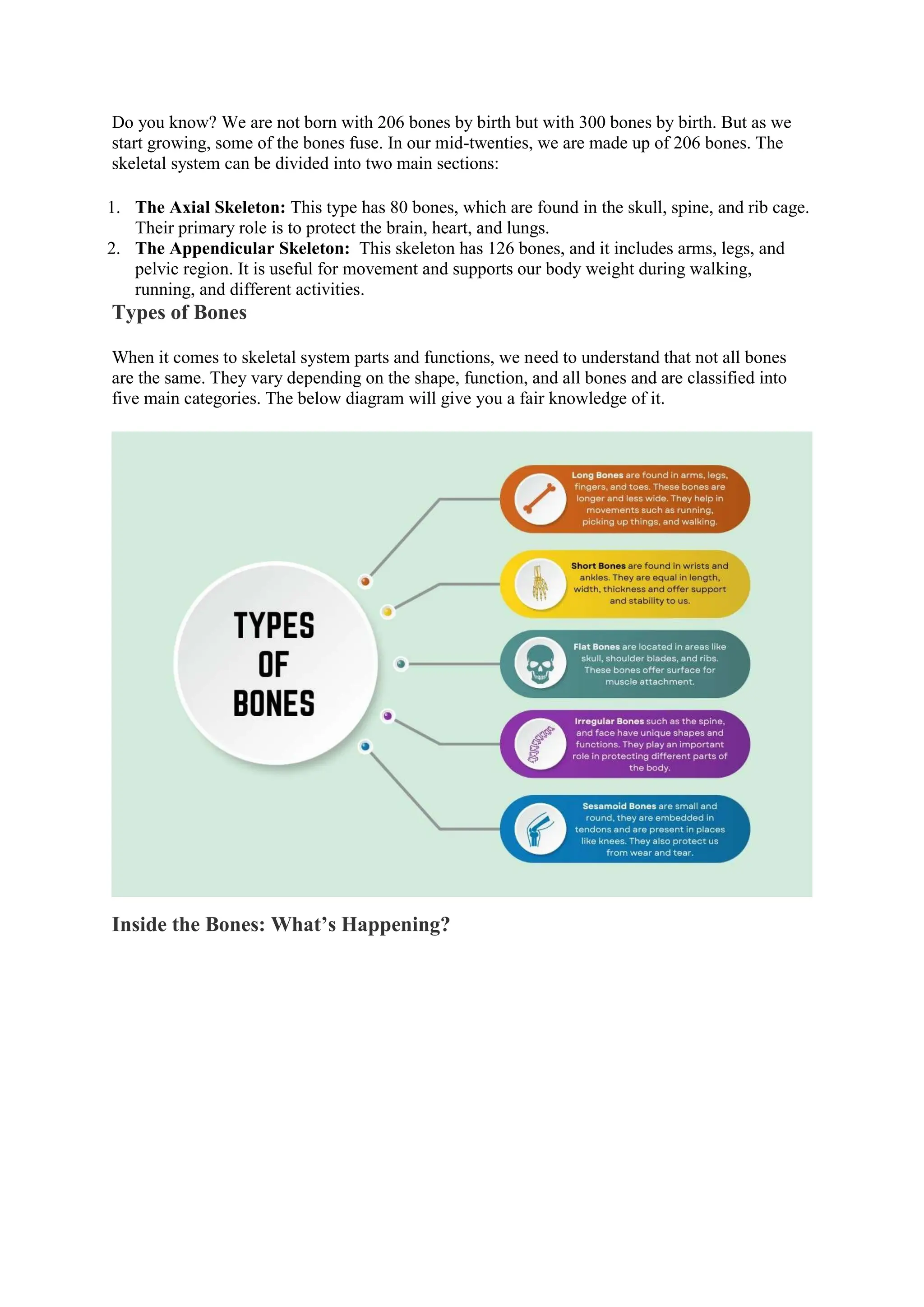 5 Key Functions of Skeletal System Parts and Functions | The Lifesciences Magazine | PDF