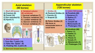 part 1 skeletal system slides important for NEET | PPT