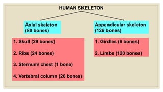 part 1 skeletal system slides important for NEET | PPT