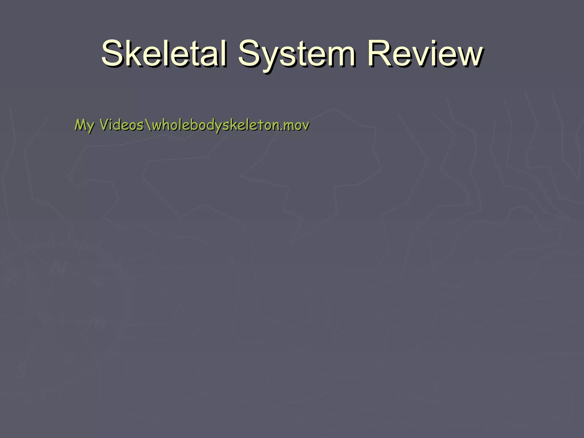 Skeletal system powerpoint | PPT