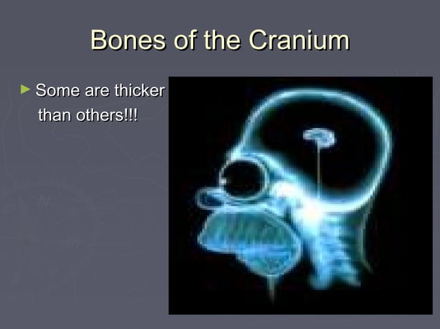 Skeletal system powerpoint | PPT | Death, Injury, or Military Conflict ...