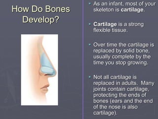 Skeletal system | PPT