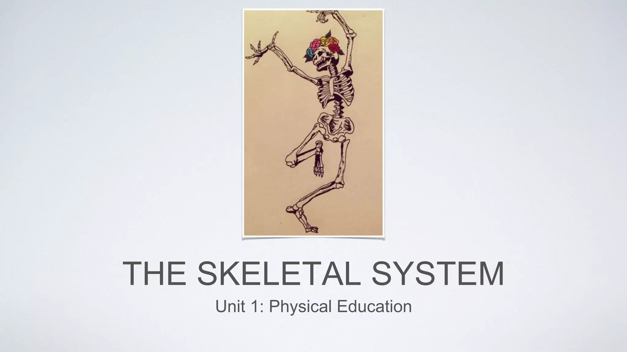 Skeletal system pp | PPT