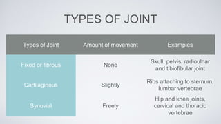 Skeletal system pp | PPTX