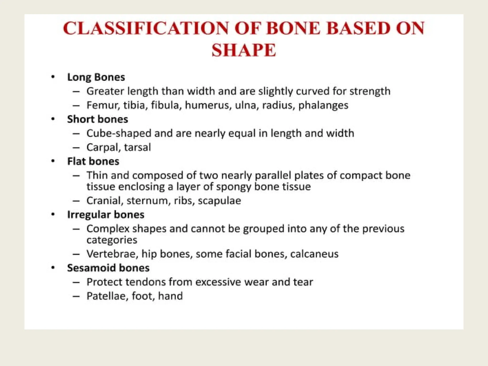 Skeletal System presentation by ppk.pptx
