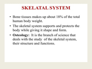 Skeletal System presentation by ppk.pptx