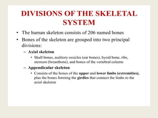 Human Skeletal System presented by ppk.pptx