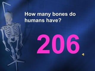 Skeletalsystem | PPT