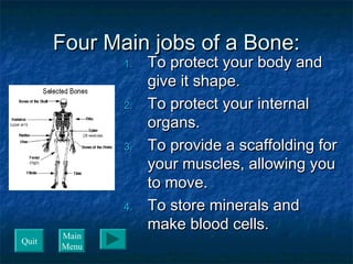 Skeletal System (WHMS) ppt | PPT