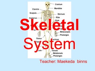 Skeletal_System_ppt.ppt