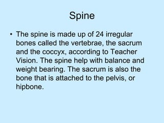 Skeletal_System_ppt.ppt