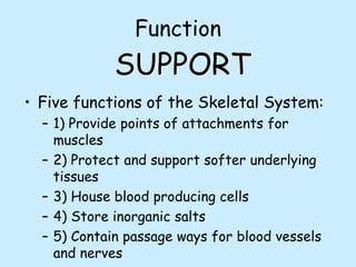 Skeletal_System_ppt.ppt