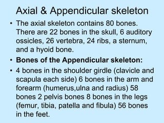 Skeletal_System_ppt.ppt