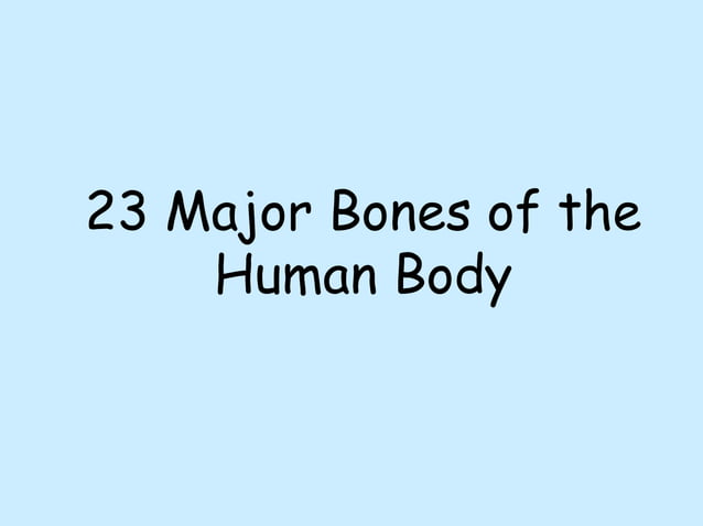 Skeletal_System_ppt.ppt