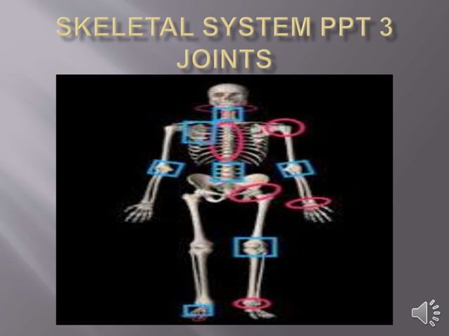 Skeletal system ppt 4 Joints.pptx