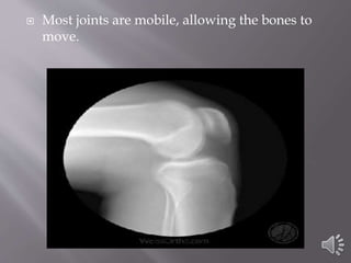 Skeletal system ppt 4 Joints.pptx