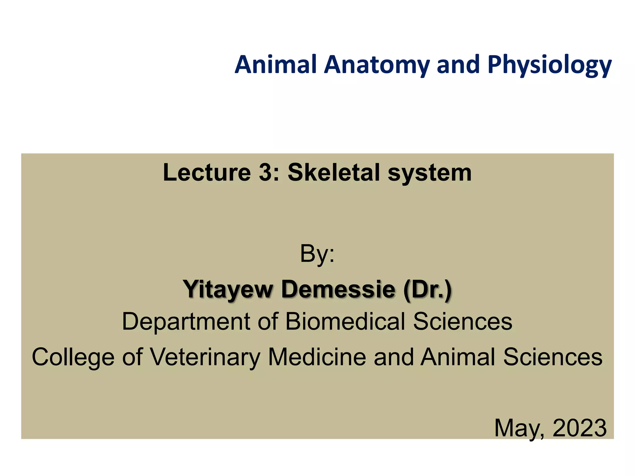 Skeletal system_presentation.pptx