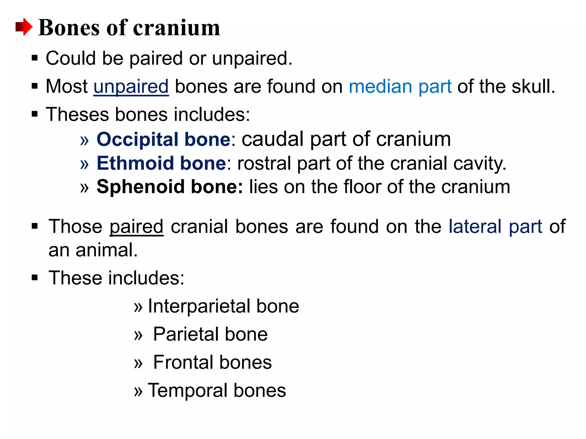 Skeletal system_presentation.pptx