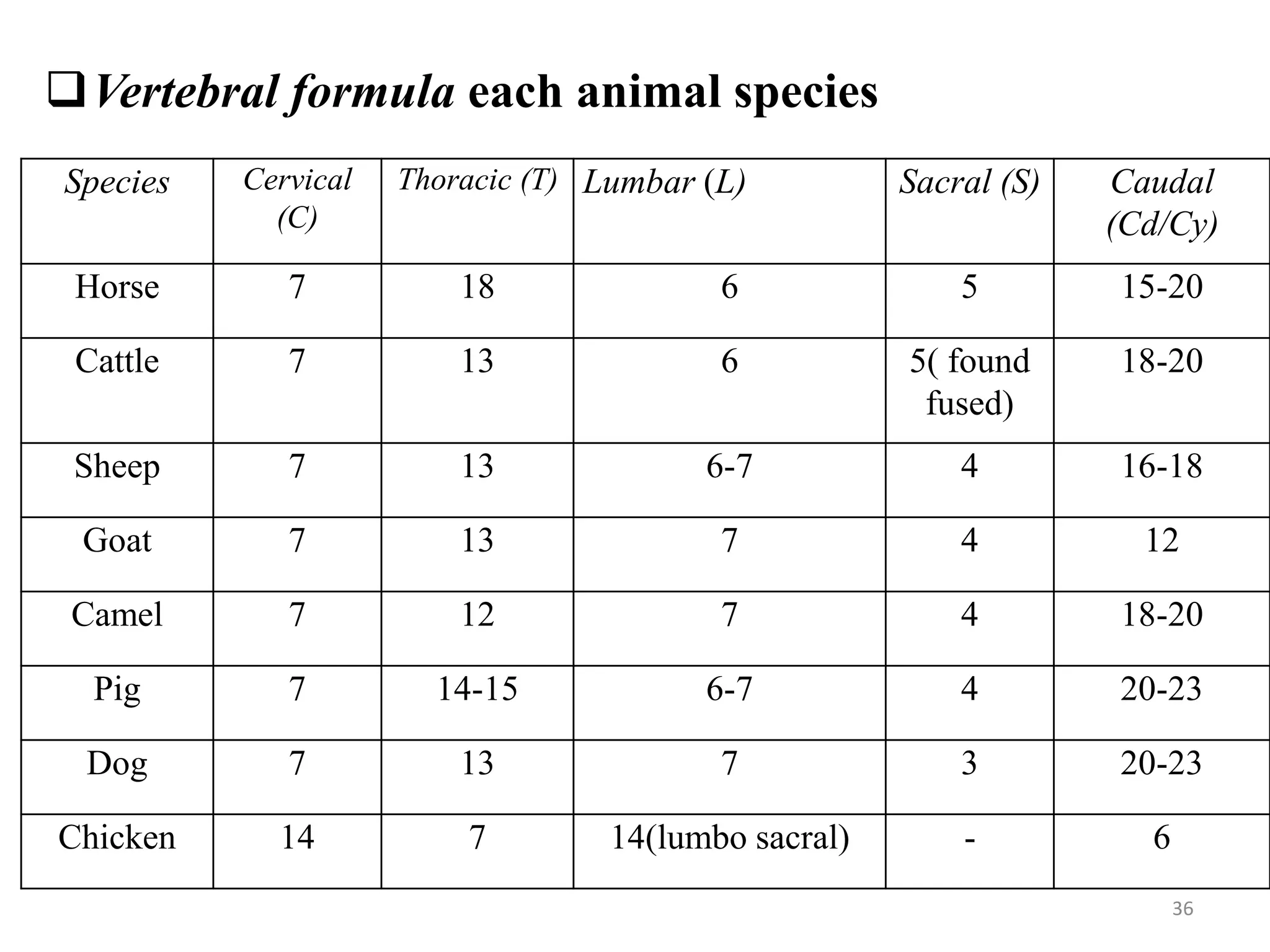 Skeletal system_presentation.pptx