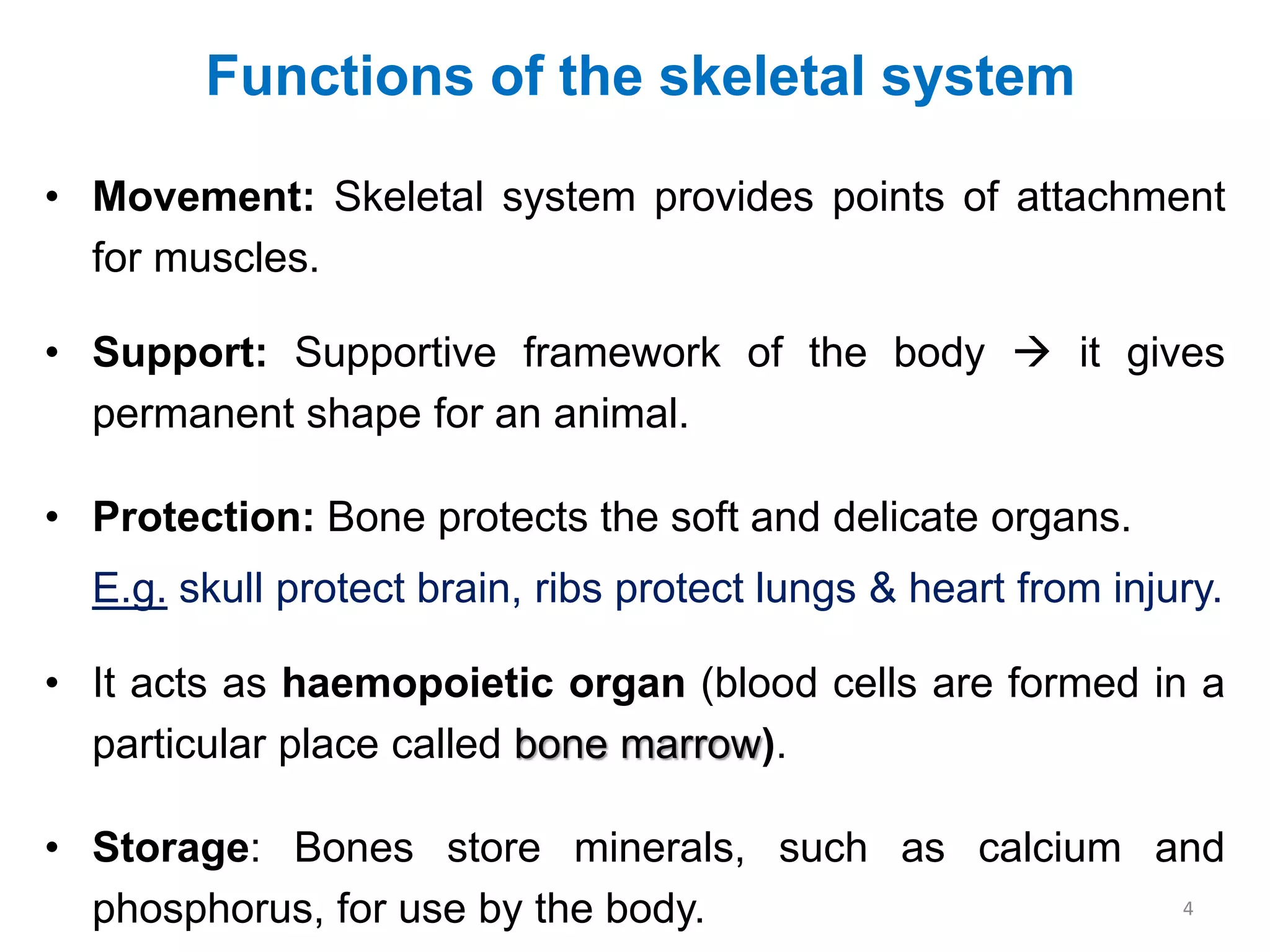 Skeletal system_presentation.pptx