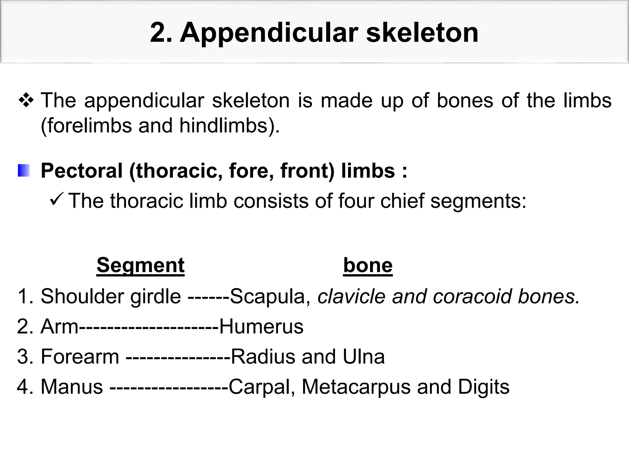 Skeletal system_presentation.pptx