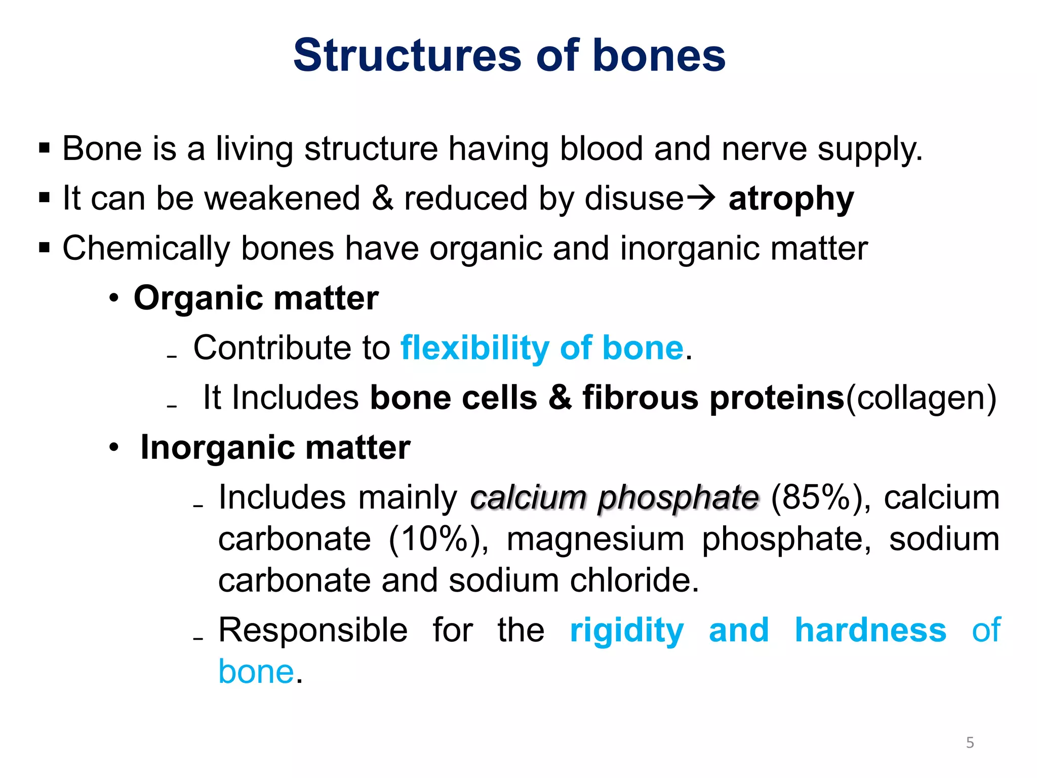 Skeletal system_presentation.pptx