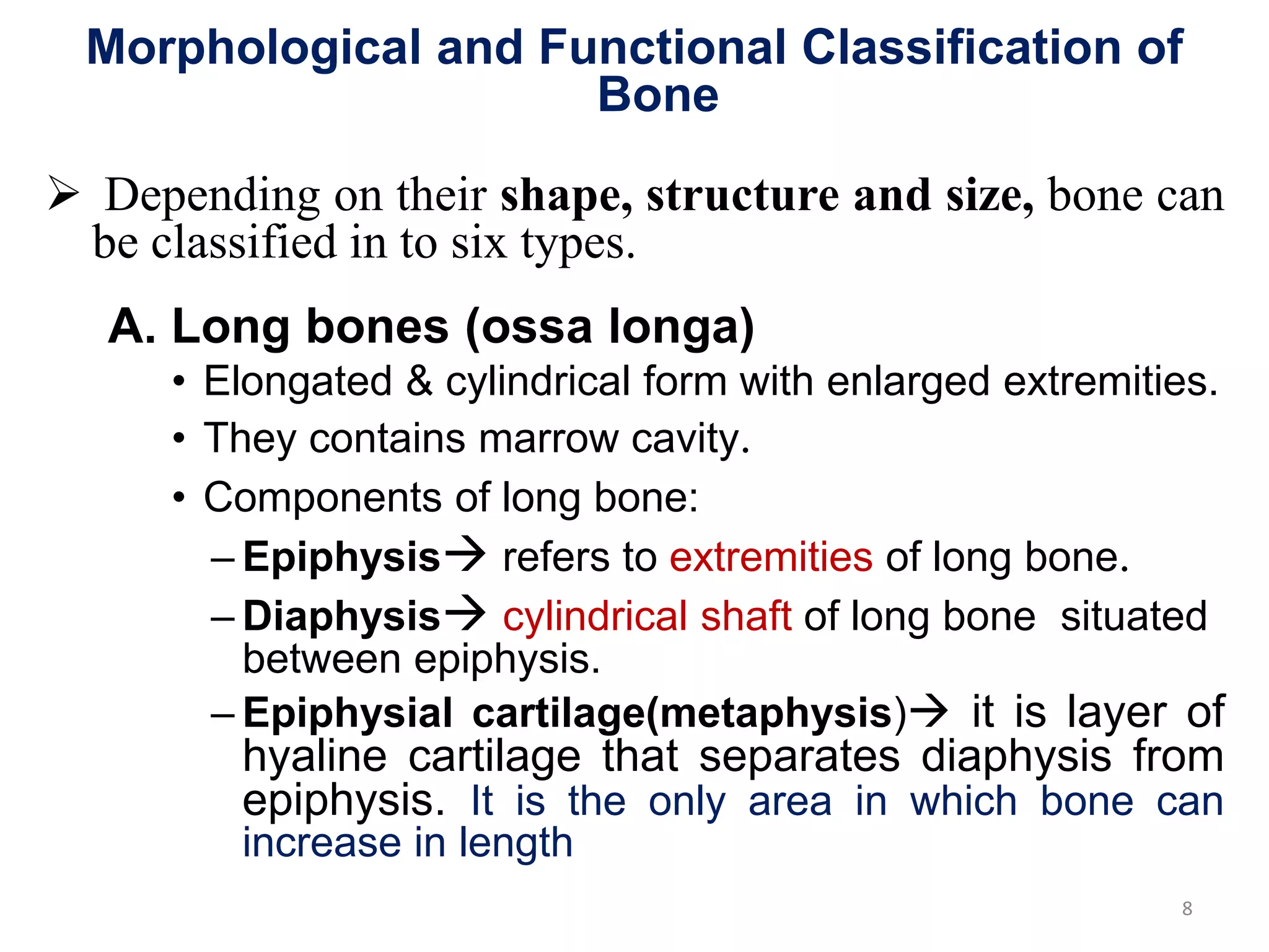 Skeletal system_presentation.pptx