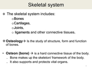 Skeletal system_presentation.pptx
