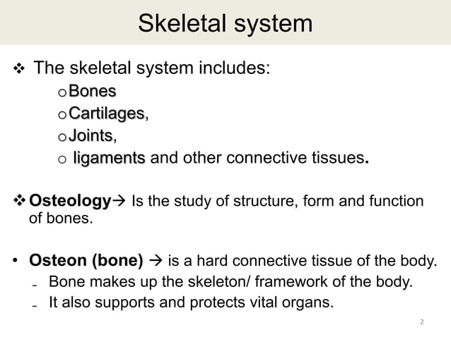 Skeletal system_presentation.pptx