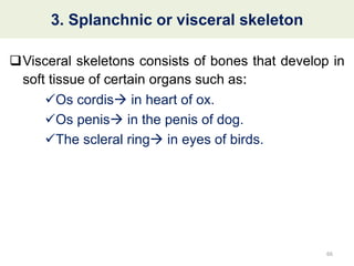 Skeletal system_presentation.pptx