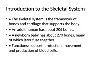 Skeletal_System_Presentation.pptxhhhhhhhhhhh | PPTX
