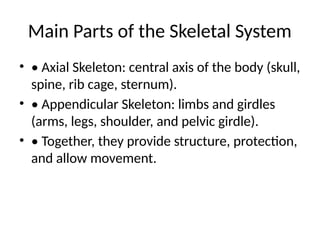 Skeletal_System_Presentation.pptxhhhhhhhhhhh | PPTX