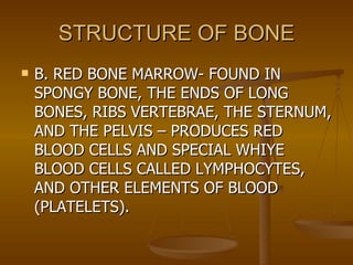 Skeletal Systems | PPT