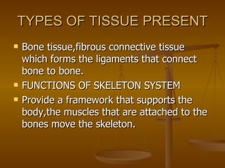 Skeletal Systems | PPT