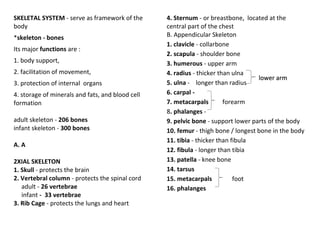 SKELETAL SYSTEM summary .docx