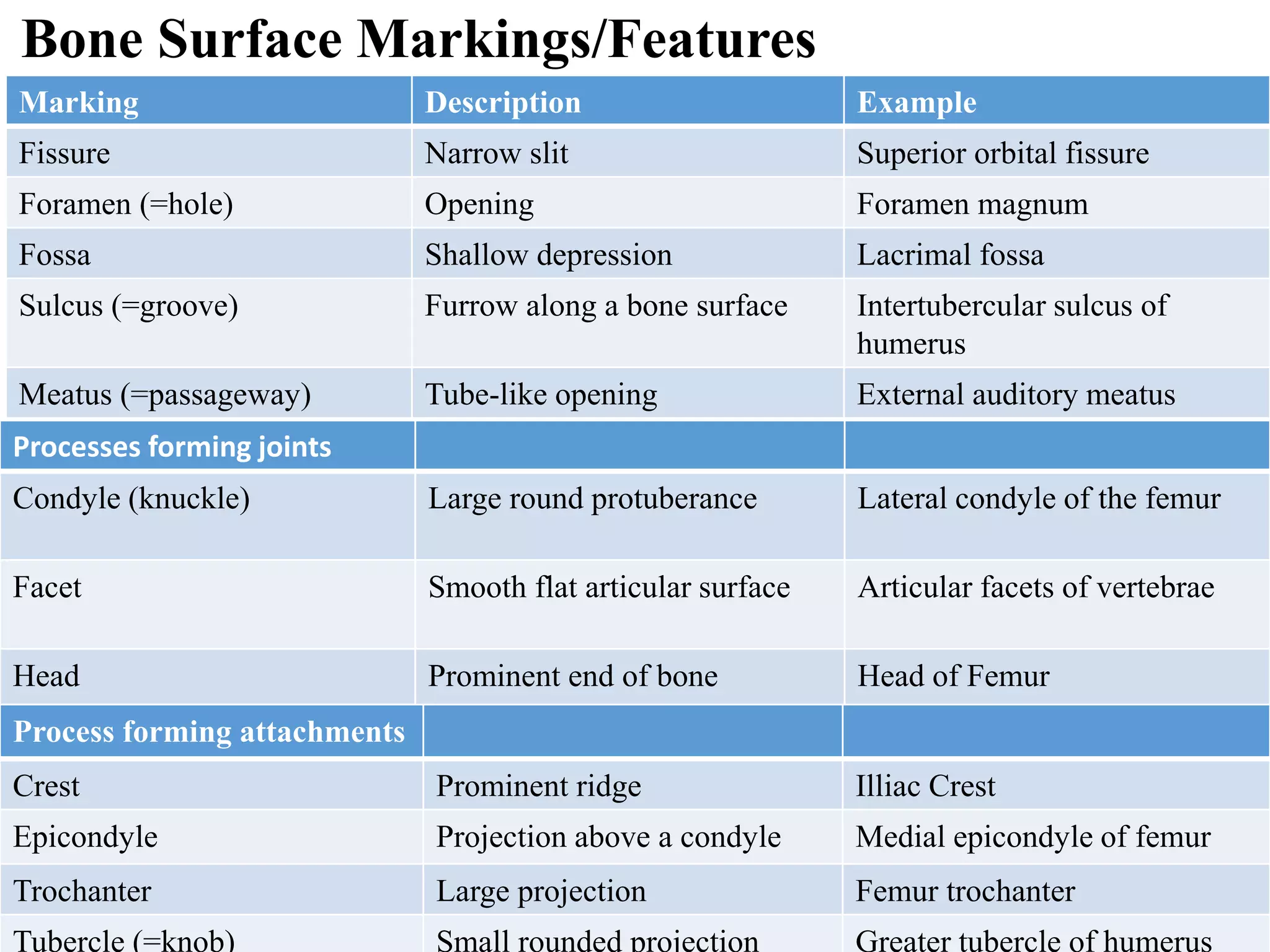 Skeletal System (Unit-IV)-for Stds.ppt