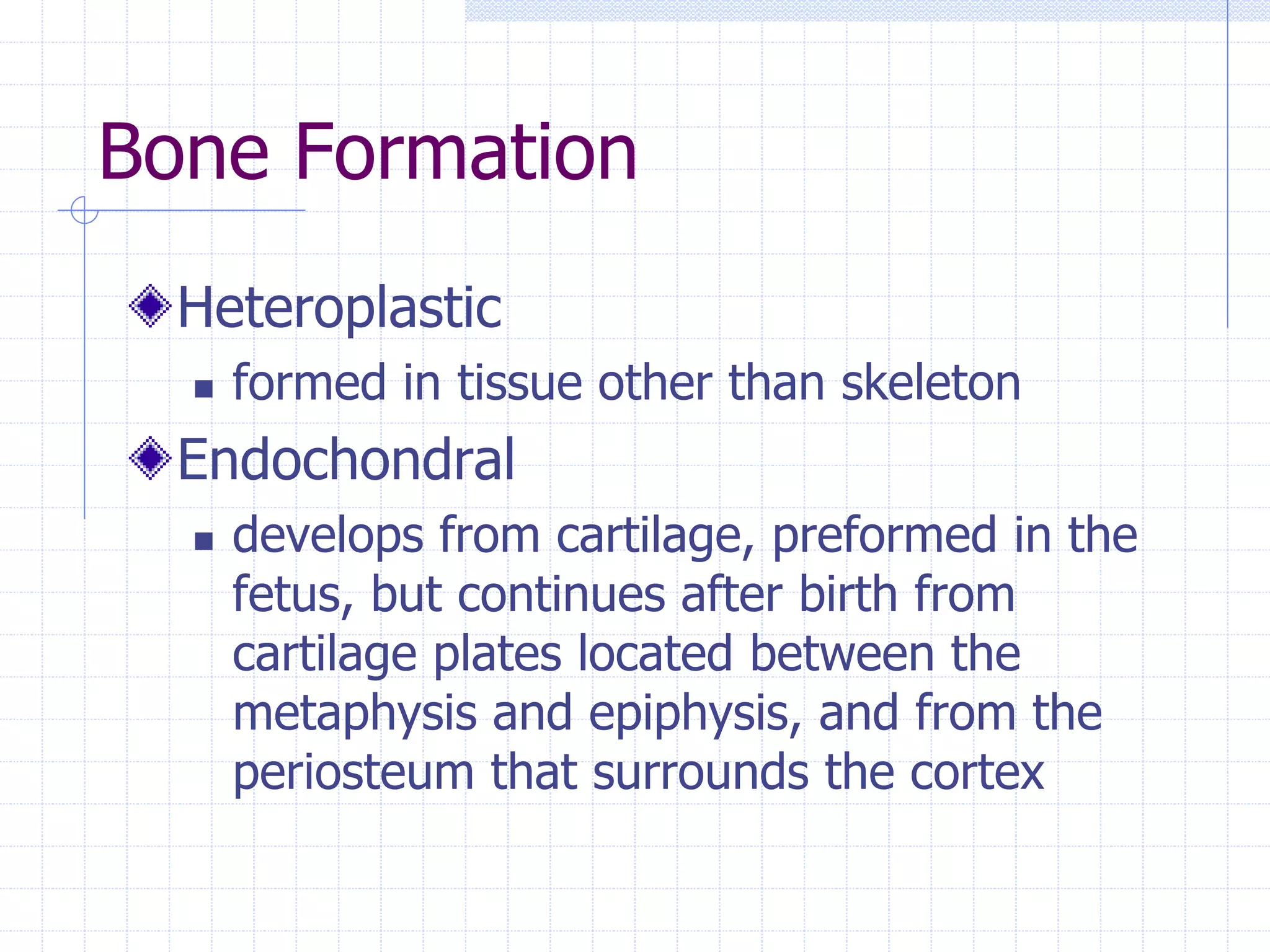 SkeletalSystemVII.ppt | Death, Injury, or Military Conflict | Sensitive ...