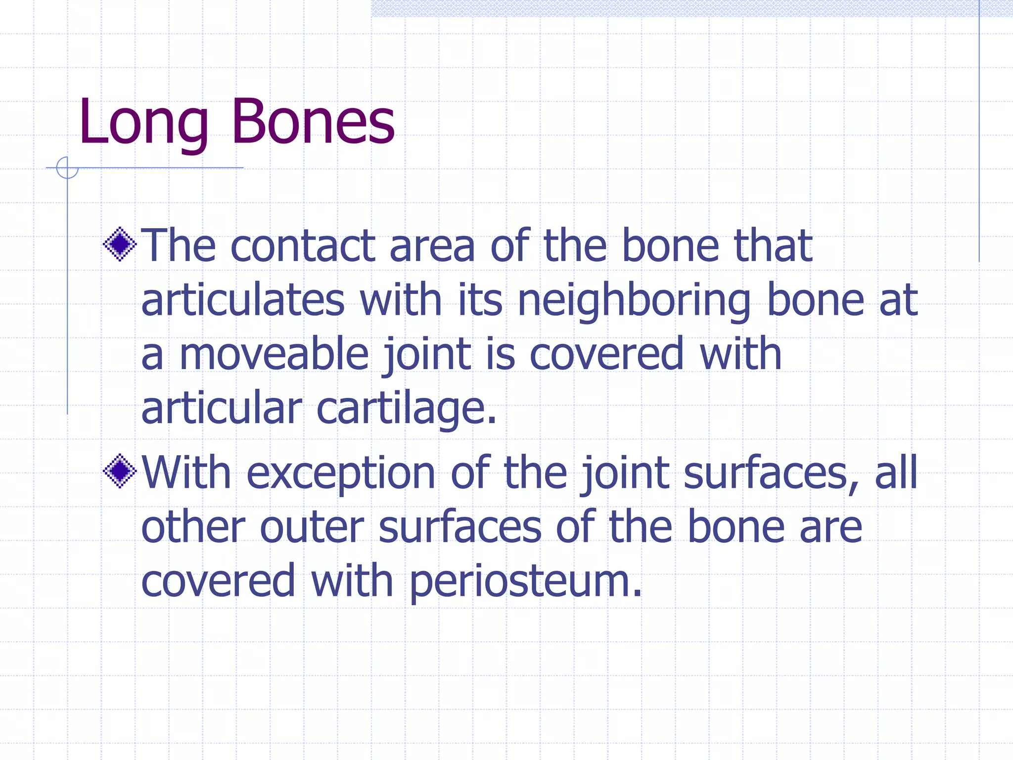 Skeletal.ppt