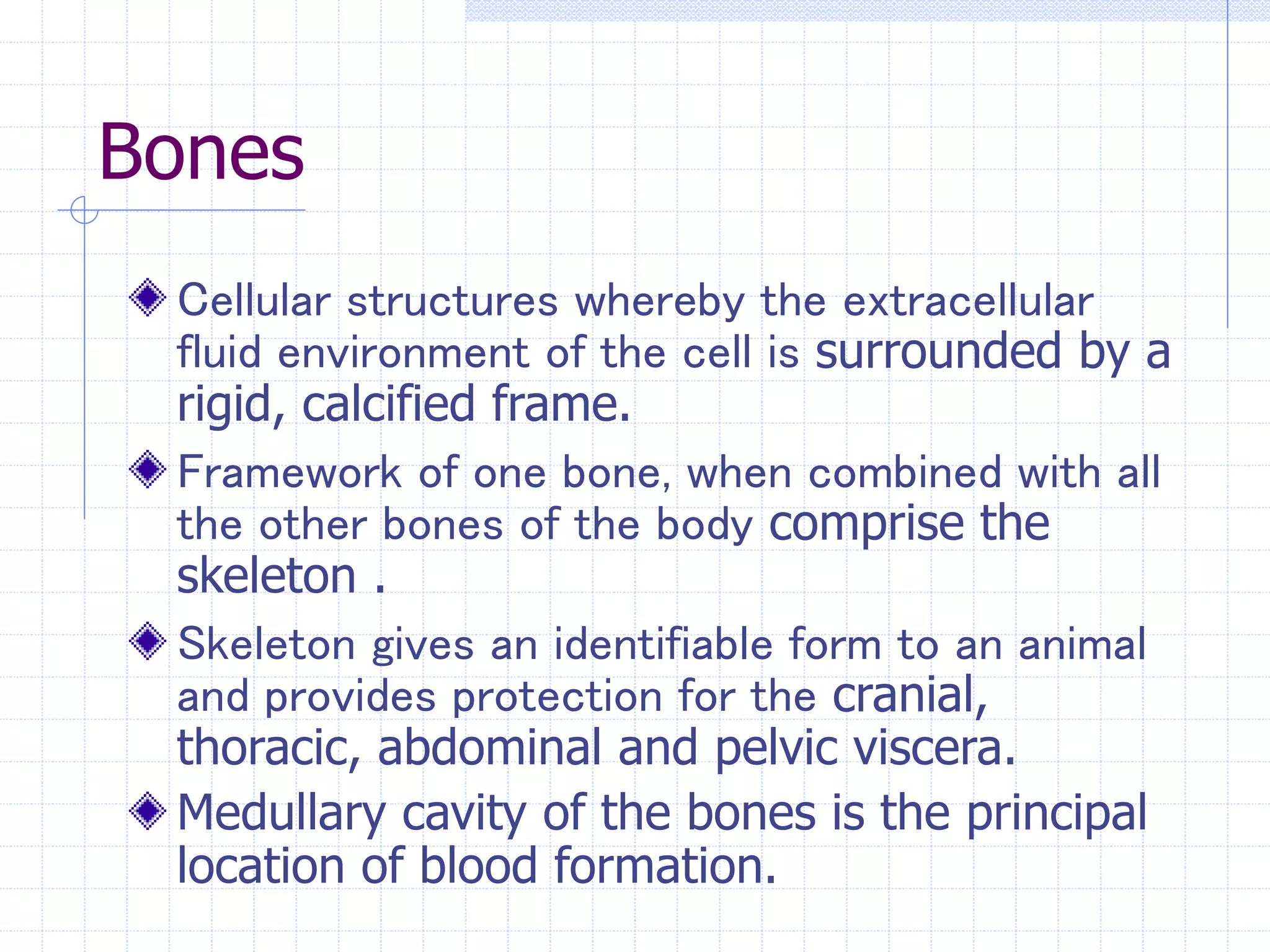 Skeletal.ppt