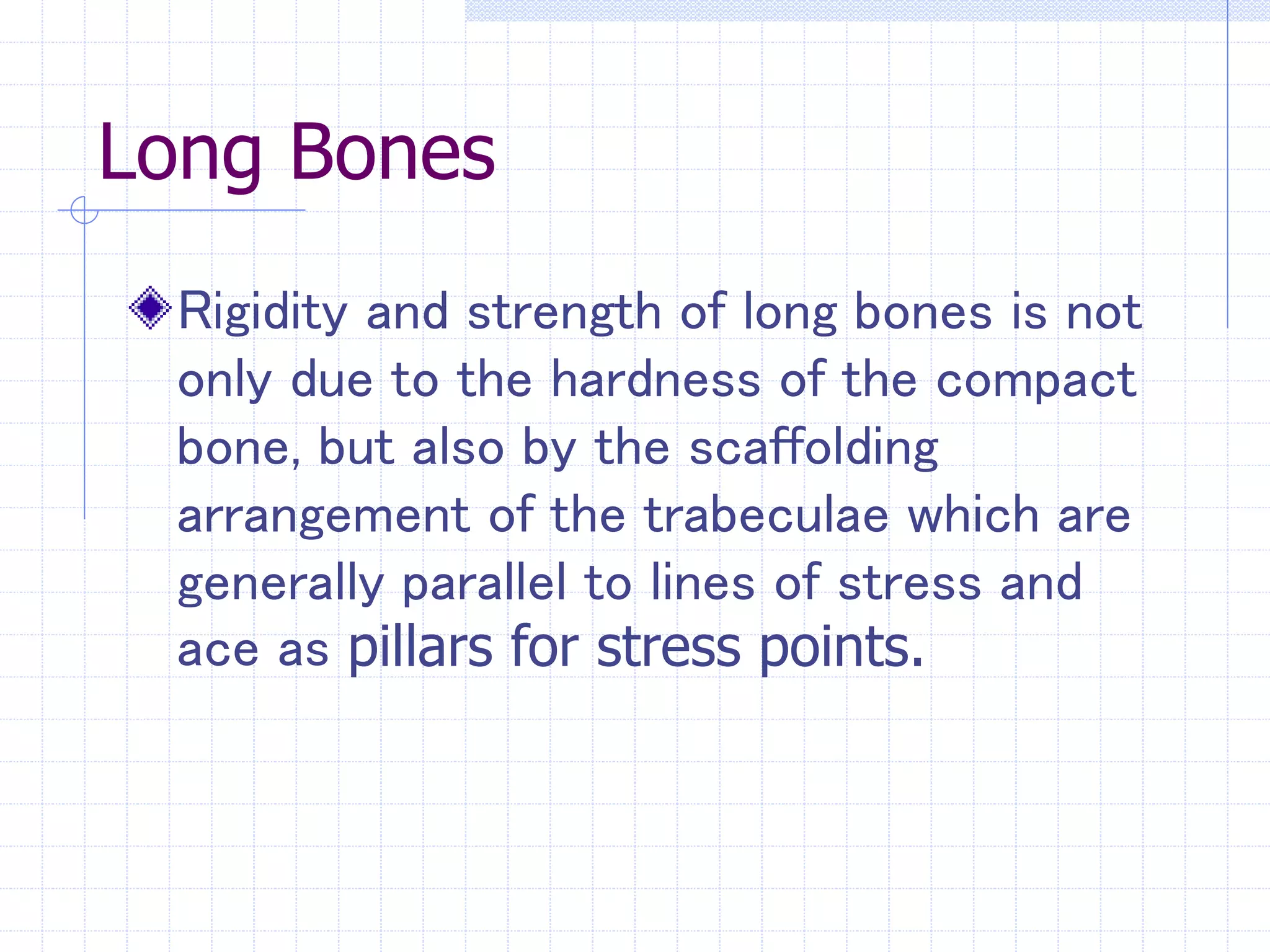 Skeletal.ppt