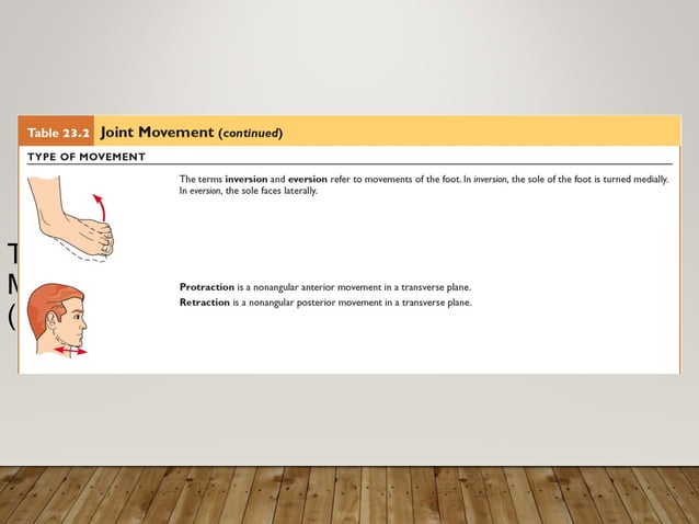 SKELETAL SYSTEM WITH ROM power point slide | PPT